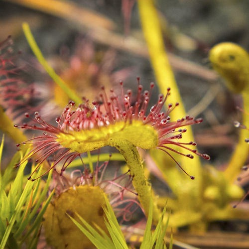 GitHub - EliasIsaiah/bio-tracker